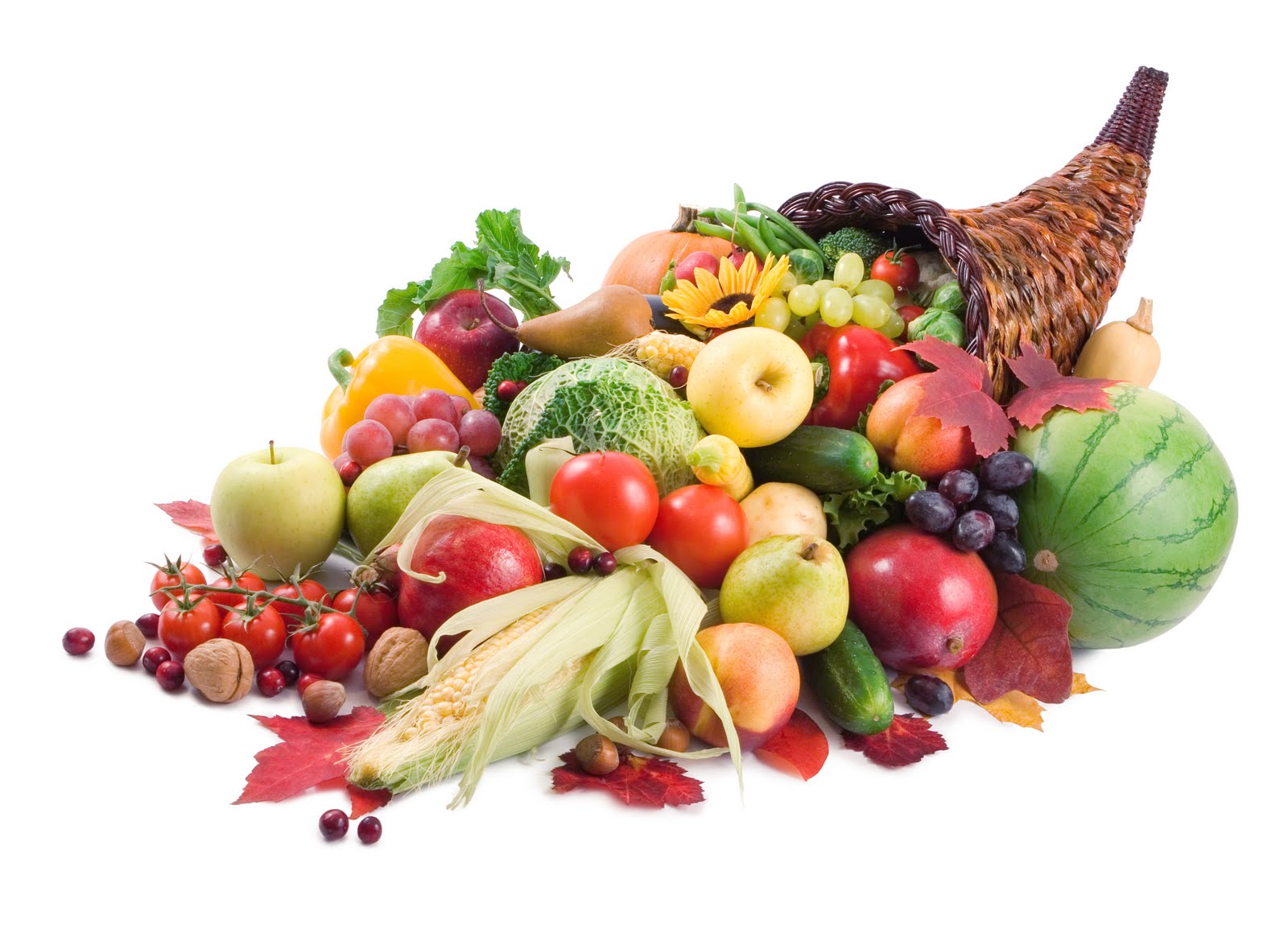 Les fruits et légumes - Raw feeding - Prey Model